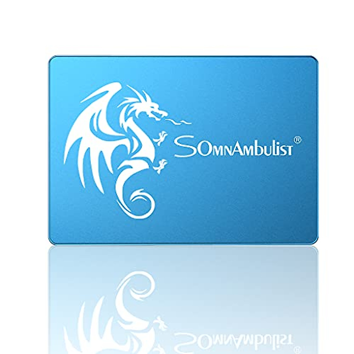 Somnambulist 2.5" Built-in SSD Hard Disk SATA3 120GB 240GB 60GB SSD (Blue Dragon-120GB)