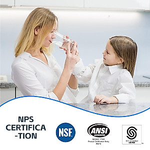 BLUERISE 5 Micron 10"x2.5" Wire Wound Whole House Water Filter Replacement Cartridge - 6 Pack