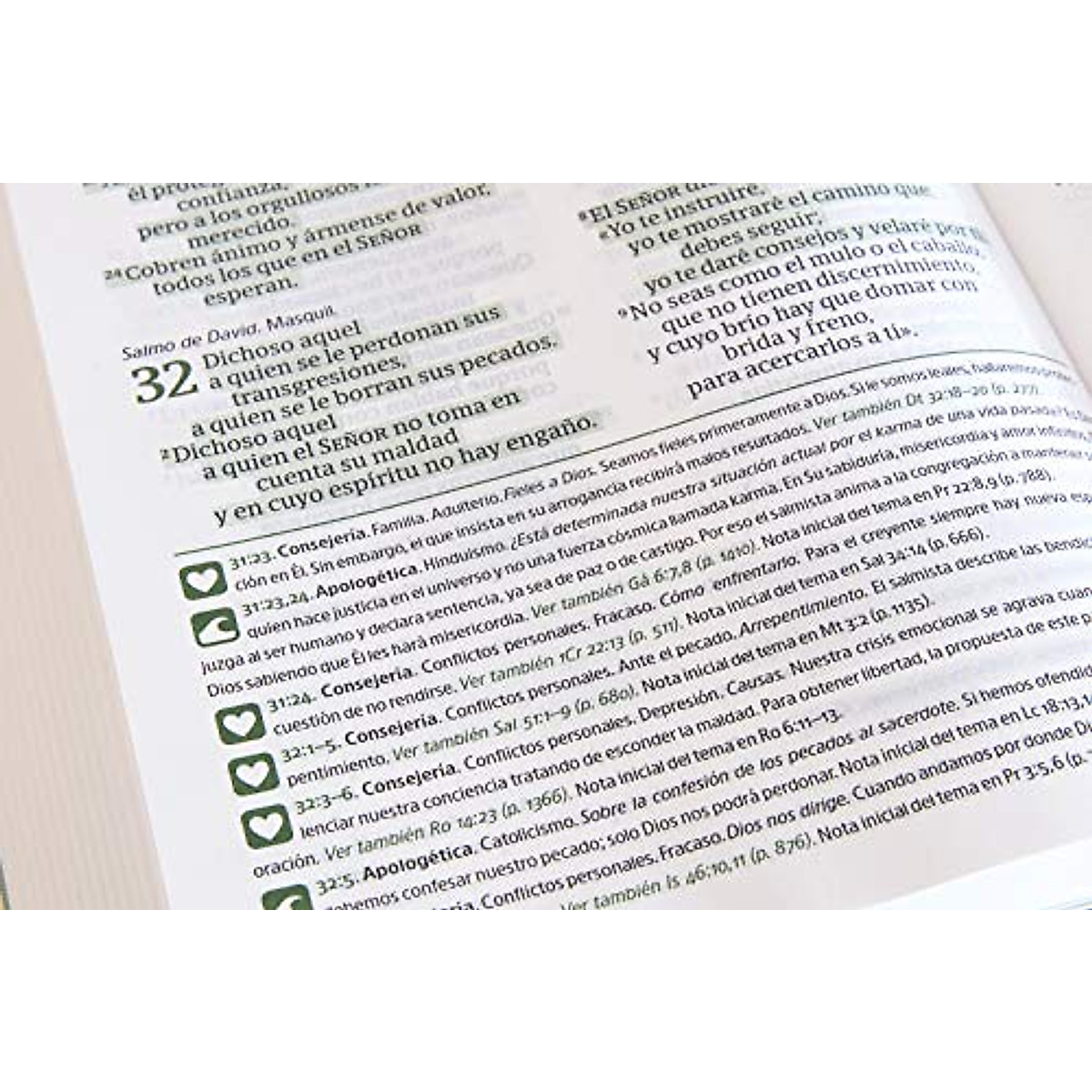 Nueva Versión Internacional Biblia del Pescador, letra grande, verde tapa dura | NVI Fisher of Men Bible, Large Print, Green, Hardcover (Spanish Edition)