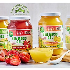 EverSmith Organics - Wildcrafted Irish Sea Moss Gel | Made in USA | Rich in Vitamins & Minerals | Sea Moss Gel Organic Raw | Nutritional Supplement | Mango Pineapple (16 oz)