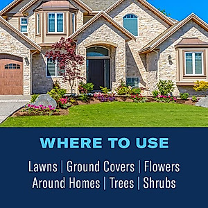 BioAdvanced Complete Brand Insect Killer for Soil and Turf I, Concentrate, 32 oz