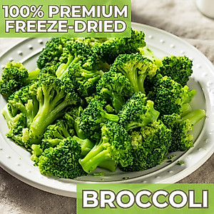 Nutristore Freeze Dried Broccoli | Survival Emergency Veggie Supply, Healthy Meals, Camping | Made in USA | 25 Year Shelf Life | #10 Can