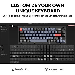 Keychron V2 Wired Custom Mechanical Keyboard Knob Version, 65% Layout QMK/VIA Programmable with Hot-swappable Keychron K Pro Blue Switch Compatible with Mac Windows Linux (Frosted Black - Translucent)
