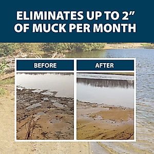 Airmax MuckAway, Natural Pond Muck Remover, Cleans & Clears Away Muck & Sludge, Easy to Use Bacteria & Enzyme Tablets, Safe for The Environment, Treats 1,500 Sq Ft, 6 Month Supply, 16 Scoops, 8 lbs