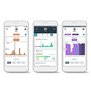 SureFlap Animo Activity Tracker and Behavior Monitor for Dogs, .06 LB