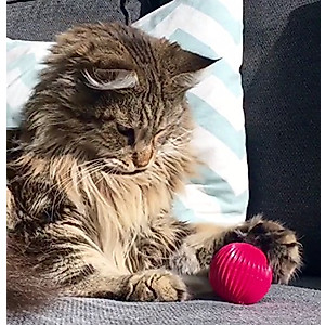 Pet Qwerks Cat Babble Ball with Catnip Infused, Interactive Cat Toy X-Small