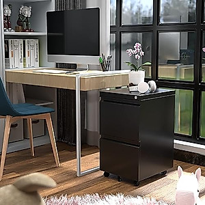 Aobabo Metal 2 Drawer Mobile File Cabinet with Lock, Under Desk Office Steel Filing Cabinet, 25.6''H Legal/Letter Size Files Storage Cabinet,Black,Fully Assembled