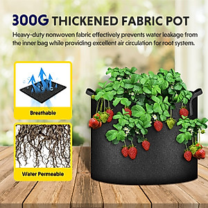 iPower 12-Pack 5 Gallon Grow Bags Heavy Duty Thickened Aeration Nonwoven Fabric Pots with Nylon Handles, for Planting Vegetables, Fruits, Flowers, Black