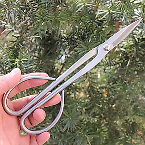 Bonsai Pruning Scissor, Professional Plant Trimming Scissor Ergonomic Handle Stainless Steel Rust Proof Wearable for Potted for Gardening for Leaf Sprout