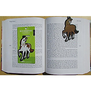 Owl Bookmarks (Clip-over-the-page) Set of 2 - Assorted colors