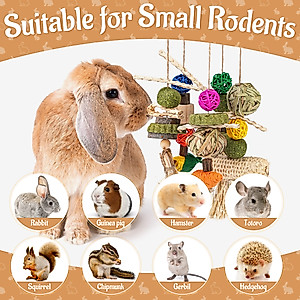 YDFAZXY Rabbit Chew Toys for teeth, Bunny Cage Hanging Chew Toys and Treats for rabbits, Rattan Ring with Snacks for Guinea Pigs Hamsters Chinchillas Rats Gerbils and Other Small Pets Teeth Grinding