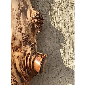 Table top from poplar burl slab, live edge table top, poplar burl, slab burl