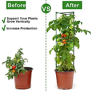 Elsjoy Set of 4 Tomato Cage Plant Support Stake, 48 Inch Garden Stakes Climbing Plant Trellis, Adjustable Plant Cages for Climbing Plant, Tomato, Vegetables, Flowers