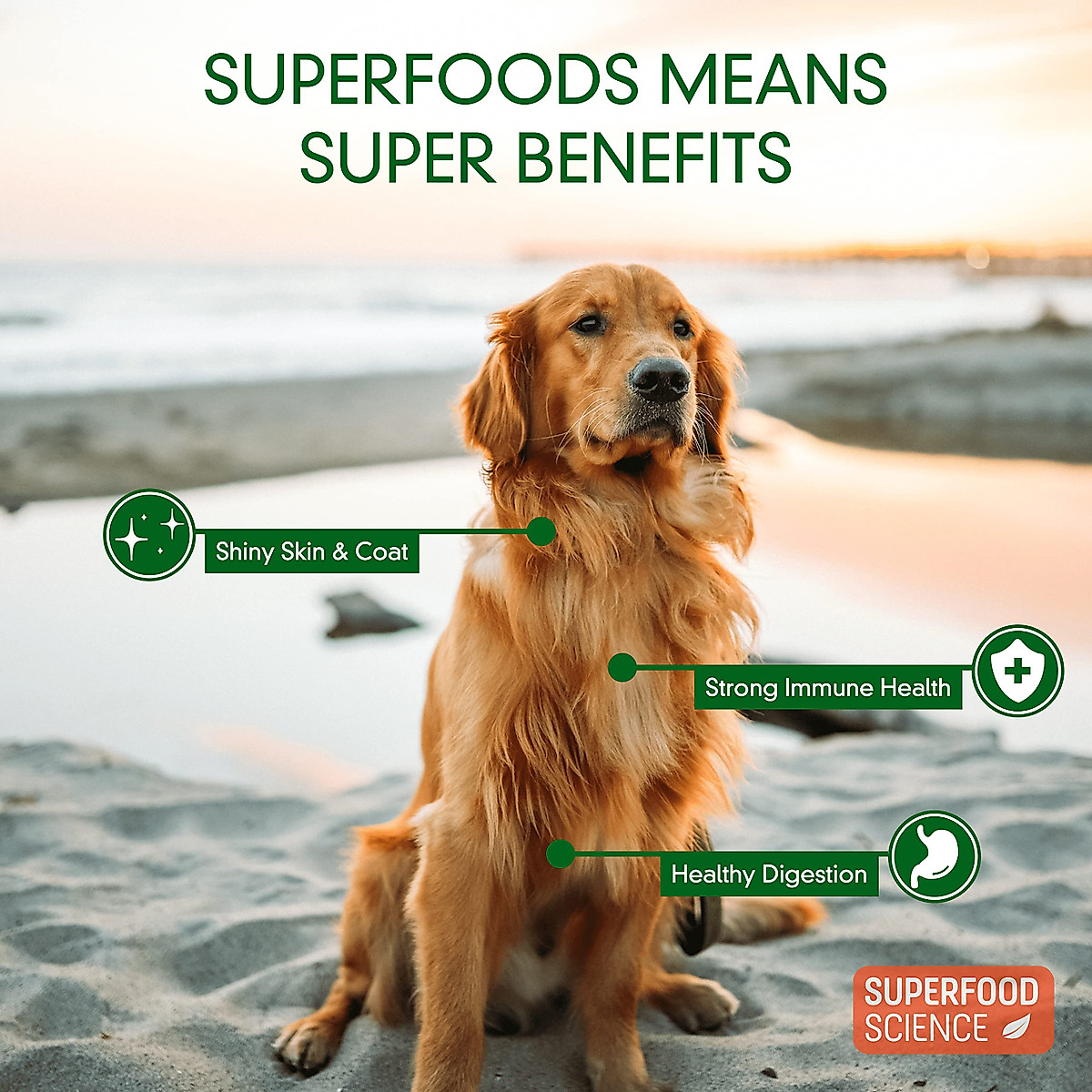 Hypoallergenic Healthy Dog Treats: Plant-Based Vegetarian Dog Snacks w/ Kelp, Sweet Potato, Chia, Flaxseed, Coconut Oil for Skin & Coat, Grain & Gluten-Free Vegan Protein Dog Treats Training, 5 oz