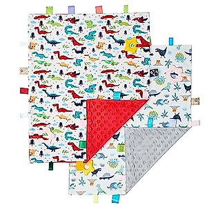 Tranqun 2 Pcs 21.7 x 17.7 Inch Big Tag Blankets for Babies Soft Security Blankets Red Dinosaur Blanket with Tags Comforter Blanket for Newborn Toddlers Children Kids Gifts