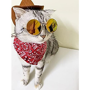 GallaRato Cowboy Costume for Pet Cowboy Bandanna Cowboy Hat for Pet Cowgirl Bandanna Sunglasses Hiphop Costume for Pet Hippie Costume