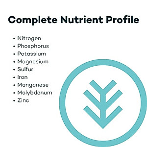 Fitleaf Plant Energy Boost 20-5-10 – The Best Water-Soluble Plant Food for Powerful Vegetative Growth, Promotes Healthy and Abundant Green Leaves – Complete Plant Nutrition Formula (3.53 oz)