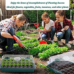 5 Pack Seed Starter Tray Seed Trays Garden Kit Humidity Seeding Tray Plant Germination with Clear Dome Trays for Seed Growth, 40 Cells Per Tray