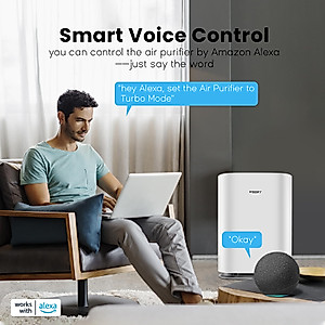 WISESKY HEPA Air Purifier for Home Covers 1728 sq. ft | WiseHEPA™ Filtration Removes Smoke, Dust, Odors | Smart Large Room Air Cleaner with 7-Speed Control | Quiet Sleep Mode, WS460A White