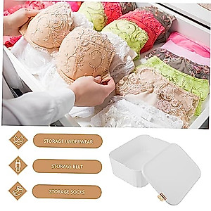 Cabilock 1pc Underwear Storage Box Belt Plastic Container Plastic Compartment Organizer Box Desk Drawer Containers with Lids Bra Compartment Organizer Closet Underwear Organizer Socks Case