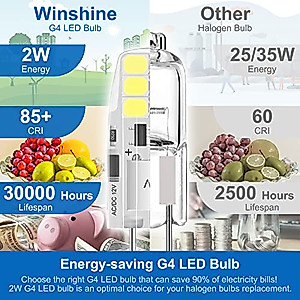 winshine G4 LED Bulb 12V AC/DC, 5000K Daylight, 20/35W Halogen Equivalent, Bi-pin Base LED Landscape Light Bulbs, 2W T3 JC Type Light Bulbs For Under Cabinet, Counter, 360° CRI85+ Non-dimmable 10 Pack