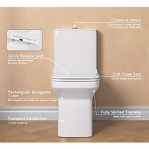 One Piece Toilet, DeerValley DV-1F0071 Modern Elongated Toilet Power Dual Flush 1.1/1.6 GPF Toilet for Bathroom 12" Rough in Rectangular Bowl, 1000g MaP