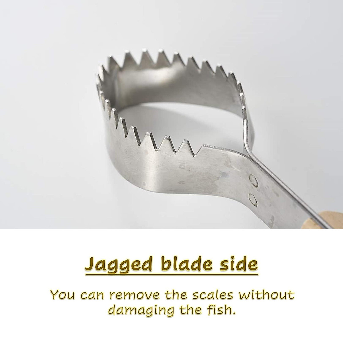 Kanda Fish Scaler Remover Tool Scraper 2Way Fast Cleaning Fish Skin, Stainless Steel with Wooden Handle, Easy and No Mess, Made in Japan