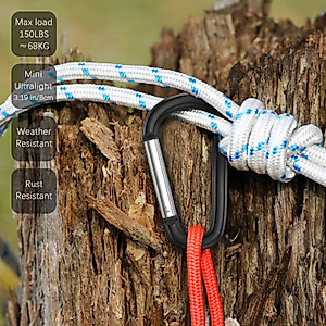 Sprookber 3" Aluminum Carabiner D Ring, Caribeener Clips, Spring Snap Hook for Keychain Clip, Set of 10 (Black)