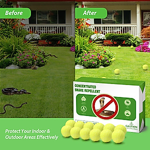 MAGIC CAT Snake Repellent for Yard Powerful, 12 Pack Snake Away Repellent Pet Safe for Yard Lawn Garden Camping Fishing, Natural Plant Formula Repellent Balls for Outdoor & Indoor Snake Control