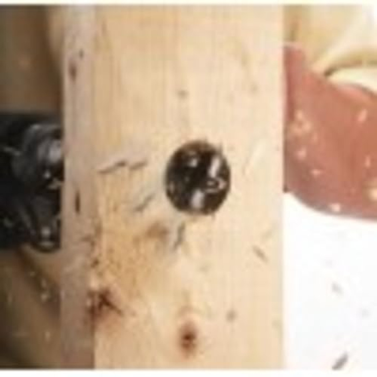 BOSCH DLSB1007 1-Piece 5/8 In. x 16 In. Daredevil Extended Length Spade Bits