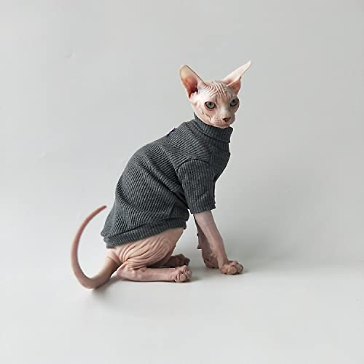 Sphynx Cat Clothes Comfortable and Soft Sweater Hairless Cat Sphynx,Devon, Connis Cat Autumn and Spring Clothes for Cats & Small Dogs (L, Pink)