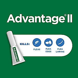 Advantage II Once-A-Month Topical Kills Flea for Kitten, Count of 2.041 LB