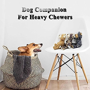 2023 New Indestructible Robust Bear Dog Toy- Companion for Heavy, Stuffed Plush Dog Toys Ideal Pet Gift for Small, Medium, and Large Breeds (L, Blue)