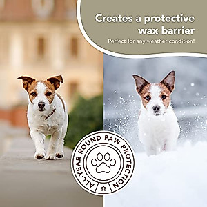 Natural Dog Company PawTection Dog Paw Balm, Protects Paws from Hot Surfaces, Sand, Salt, & Snow, Organic, All Natural Ingredients (0.15 oz Trial Stick)