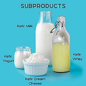 Milk Kefir Grains, Turkish strain, Bulgaros, Pajaritos.