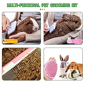 Crafterlife Small Animal Pet Grooming Kit with Pet Shedding Slicker Brush, Bath Massage Glove, Pet Grooming Comb, Nail Clipper Trimmer for Rabbit, Puppy, Kitten, Guinea Pig, Hamster, Ferret (Pink)