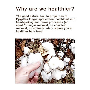 900 GSM 100% Egyptian Cotton Towel,Oversized Bath Towels - Heavy Weight & Absorbent - top Luxury Bath Towels at a Seven-Star Hotel in Dubai,28 x 60 inches,2-Piece (Violet)