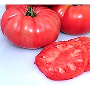 Giant Belgium Tomato Seeds for Growing The Belgian Heirloom bin174 (80+ Seeds, or 1/4 Gram)