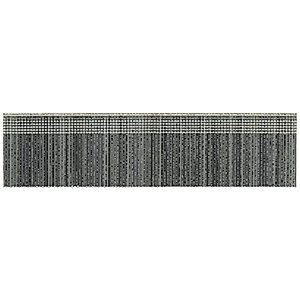 PORTER-CABLE Brad Nails, 1 1-1/4-Inch Brad Nail, 18GA, 1000-Pack (PBN18125-1)