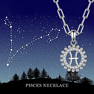 S925 Sterling Silver Zodiac Sign Necklace 12 Constellation Astrology Paperclip Chain Necklace for Women Pisces (2.19-3.20)