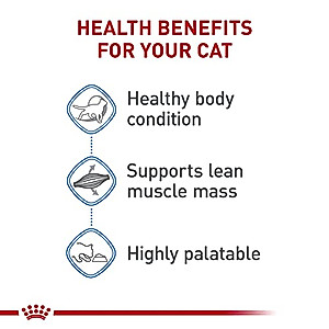 Royal Canin Feline Weight Care Thin Slices in Gravy Canned Adult Wet Cat Food, 3 oz can (6-pack)