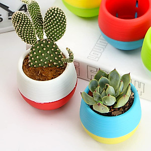 Elsjoy 30 Pack Mini Succulent Pot, 3 Inch Plastic Seed Starter Pots Small Cute Succulent Planter with Drainage for Indoor & Outdoor Plants, Home Decor, Free Assembly