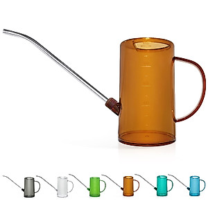 Qilebi Small Watering Can for Indoor Plants, Indoor Watering Can with Stainless Steel Long Spout, Plant Watering Can for House Plant Flowers Garden 1 L/34 oz