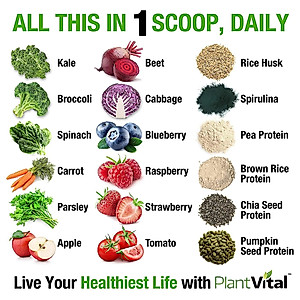 Plantvital Unflavored Organic Vegan Protein Powder - 15 Superfoods, Veggies and Probiotics - Organic Plant-Based Protein Powder - All BCAA’s, Gluten Free - 16oz -1 Pouch