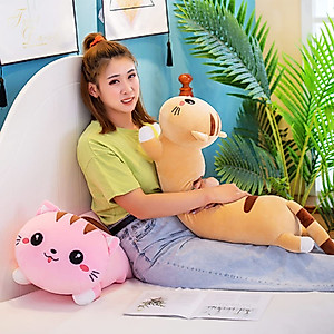 Long Cat Plush Pillow Cute Cat Plush Long Body Pillow Soft Cat Animal Body Pillow Kitten Plush Throw Pillow for Girlfriend (Gray,28in/70cm)