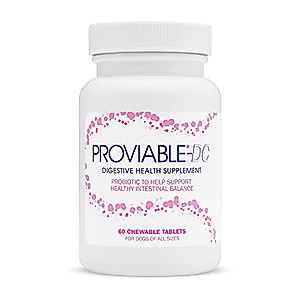 Nutramax Proviable Digestive Health Supplement Multi-Strain Probiotics and Prebiotics for Dogs, With 7-Strains of Bacteria, 60 Chewable Tablets