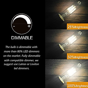 T10 LED Bulbs Daylight 4000K LED Tubular Edison Light Bulbs 4W Dimmable Tube Vintage Led Bulbs 40 Watt Equivalent,E26 Medium Base, LED Filament Retro Bulb for Desk Lamp, (6-Pack), 6 Count (Pack of 1)