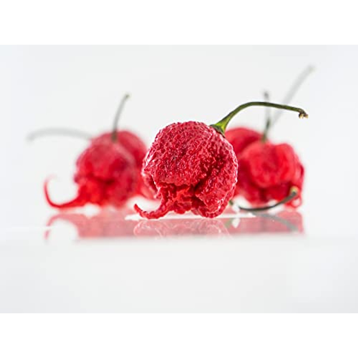 Pepper Joe’s Carolina Reaper Seeds – Pack of 10+ World’s Hottest Chili Pepper Seeds – USA Grown – Premium Non-GMO Carolina Reaper Seeds for Planting