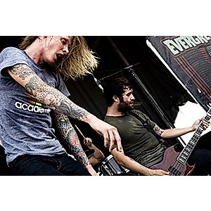 Evergreen Terrace, Vans Warped Tour”