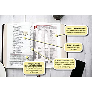 NIV, Life Application Study Bible, Third Edition, Leathersoft, Brown, Red Letter, Thumb Indexed